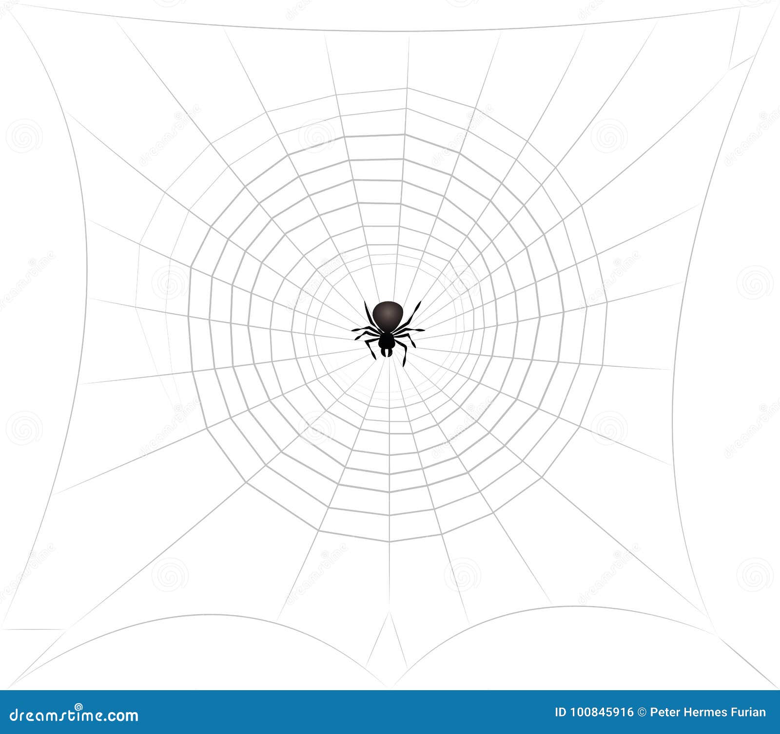 Spider. Spiders Set. Vector Clipart Isolated On White Background ...