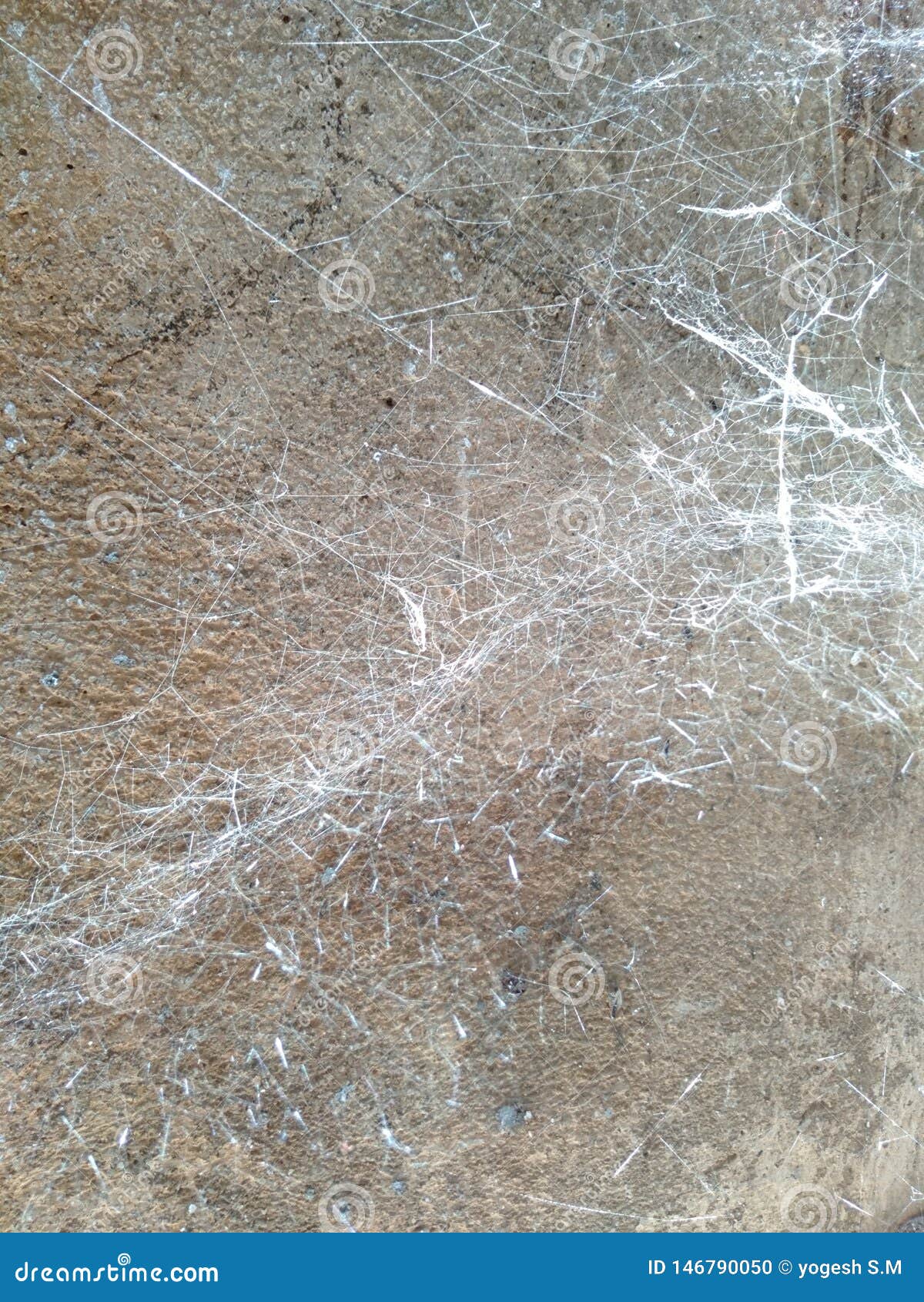 Spidertexture stock photo. Image of spider, spidertexture - 146790050