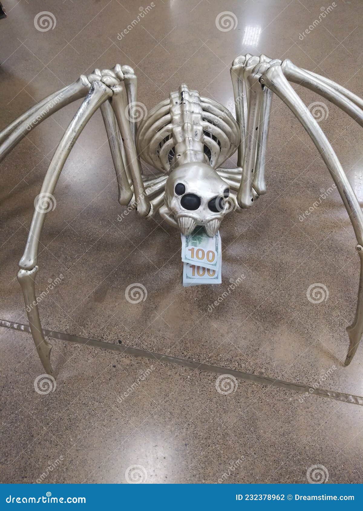 Spider stacks cash stock photo. Image of tarmac, wheel - 232378962