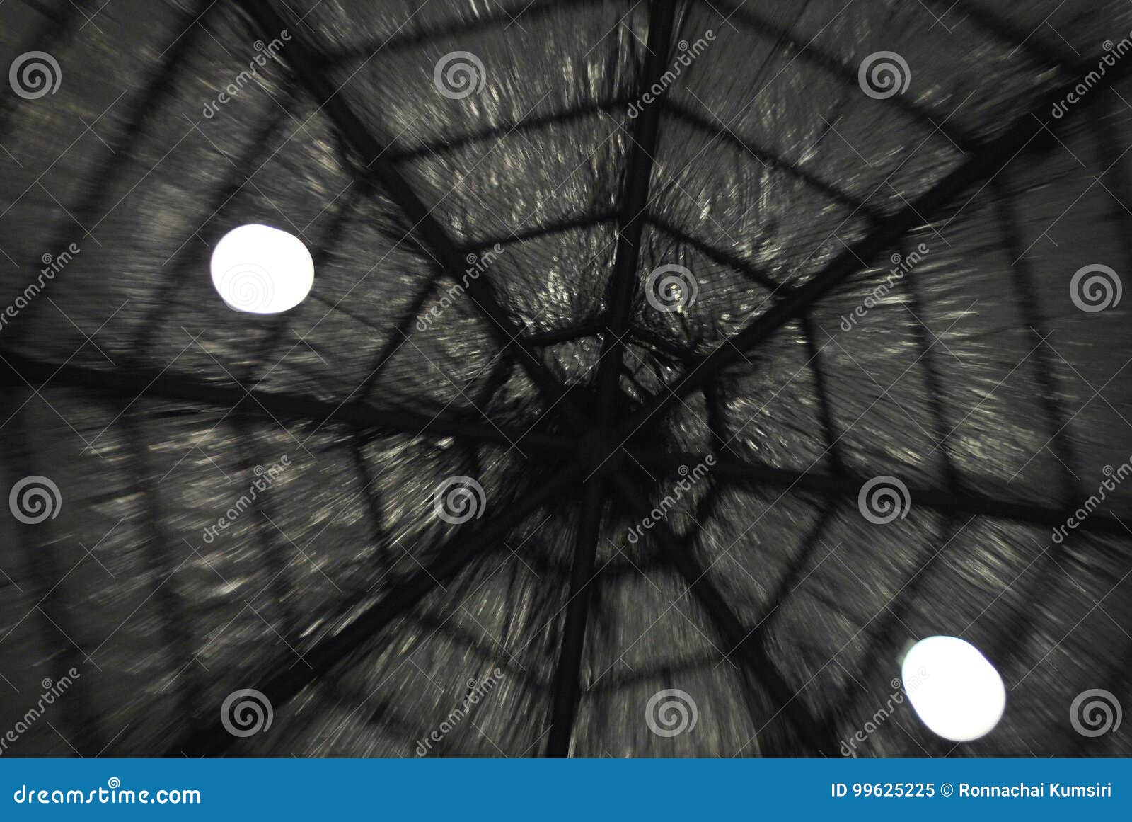 The Spider Structure Web Roof Black Photo Stock Image - Image of blue ...