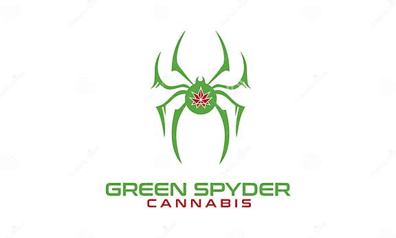 Spider Studio - Logo Template Stock Vector - Illustration of studio ...