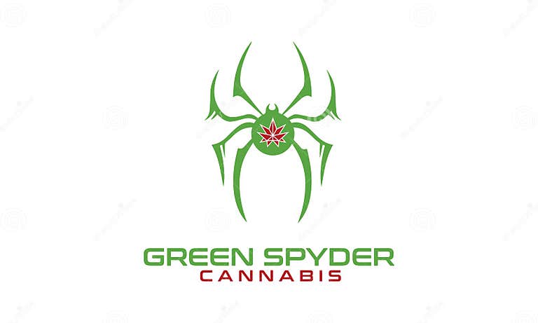 Spider Studio - Logo Template Stock Vector - Illustration of studio ...