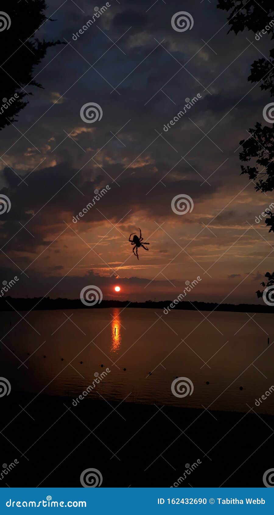 Spider Sunset Reflection Beautiful Powerful Stock Photo - Image of ...