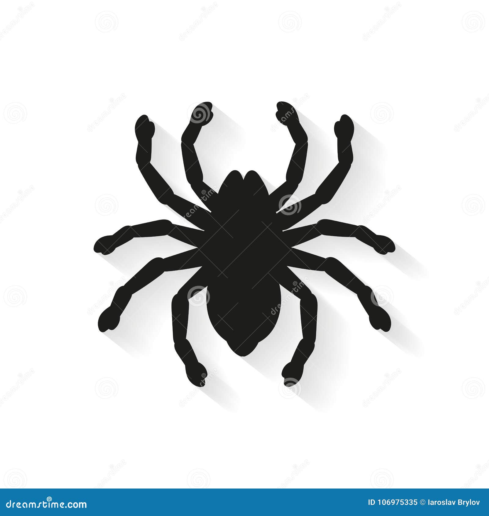 Tarantula Drawing Vector Illustration | CartoonDealer.com #16471010
