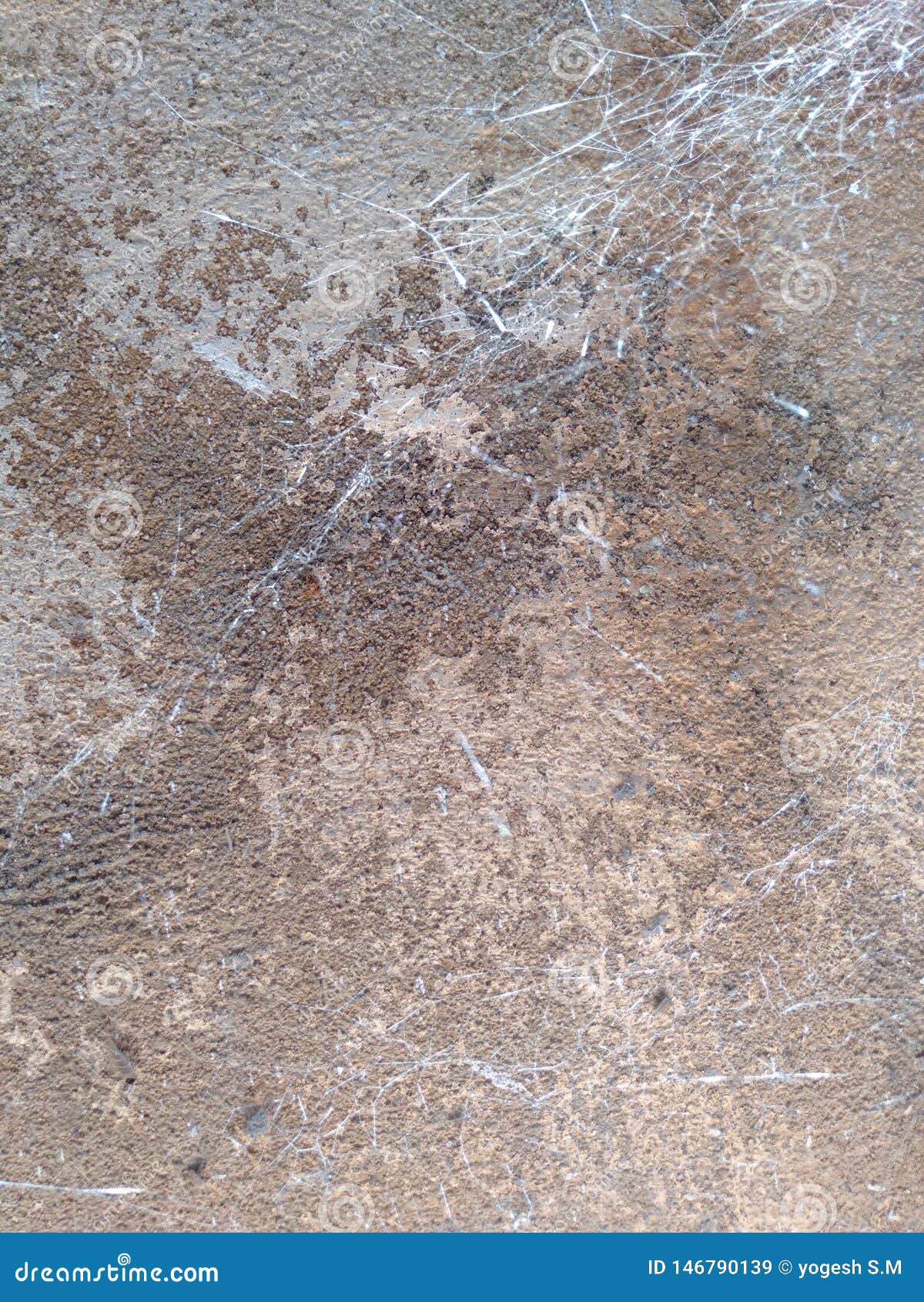 Spider Texture Royalty-Free Stock Image | CartoonDealer.com #146790100