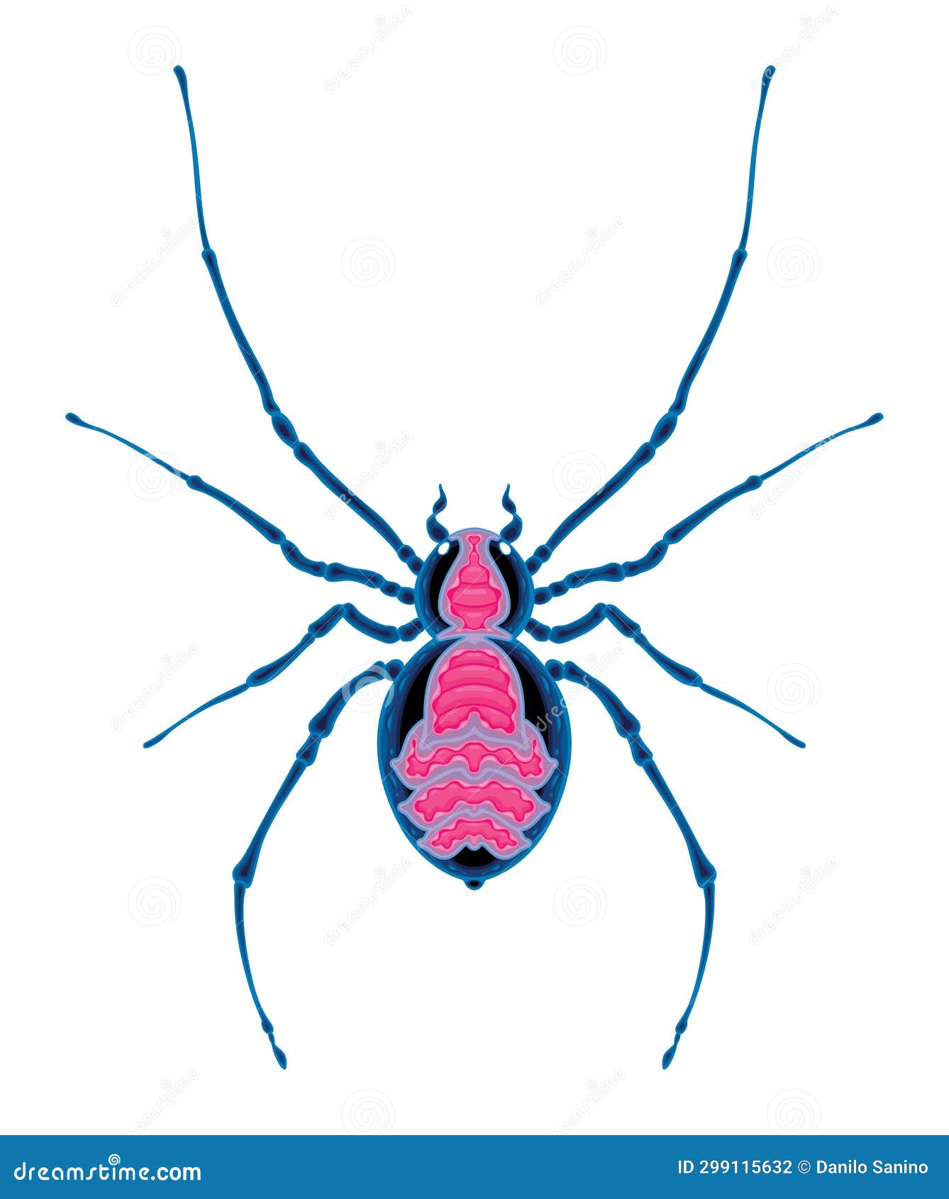 Spider Top View, Vector Isolated Animal Stock Illustration ...