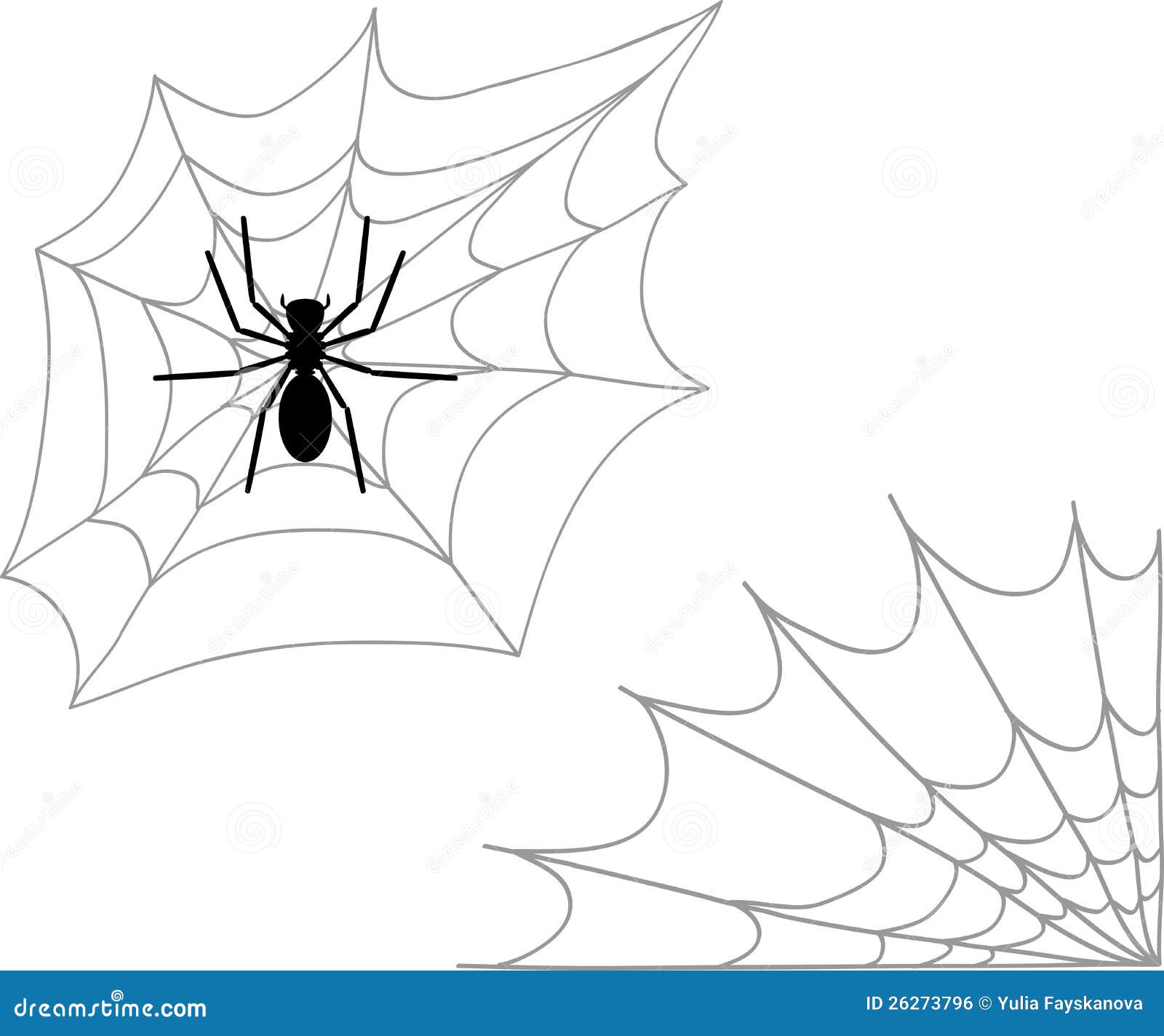 Spider and Two Types of Cobweb Stock Vector - Illustration of funny ...