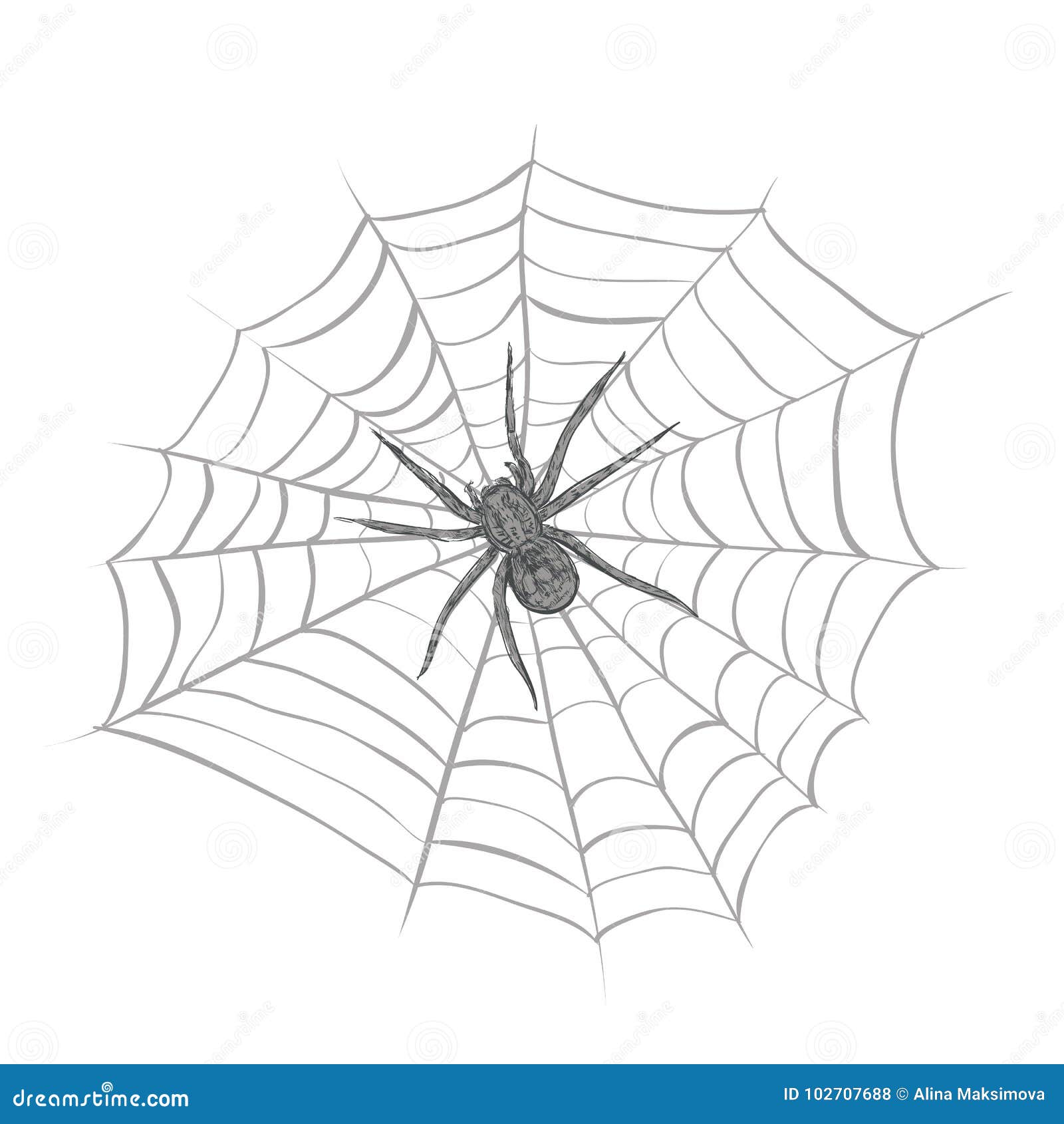 A Spider Weaves a Spider Web. Stock Vector - Illustration of weaving ...