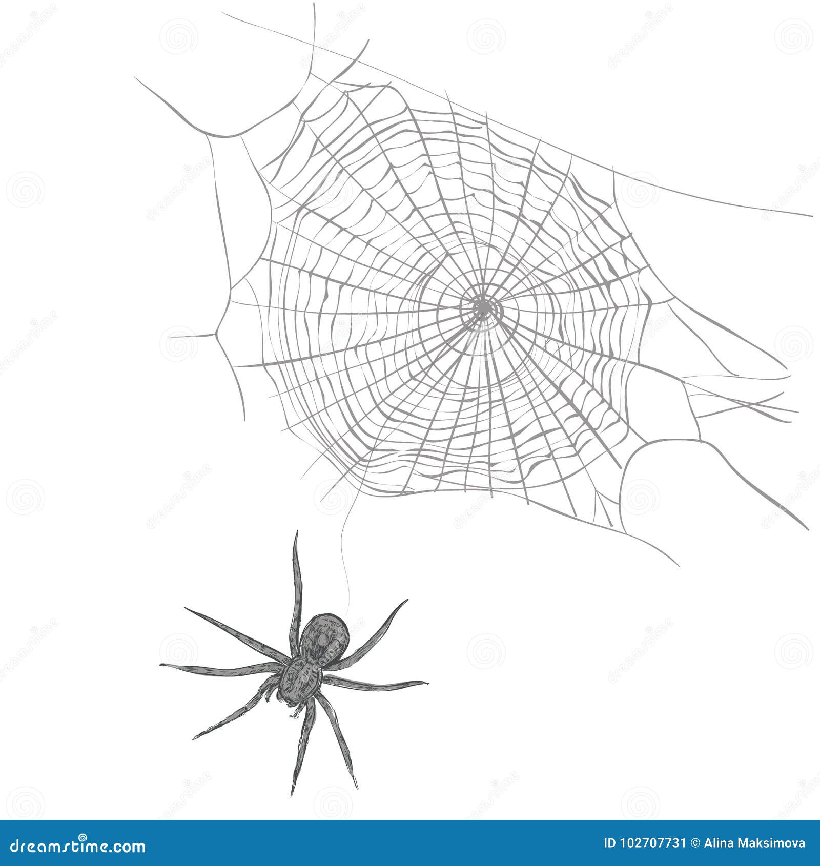 A Spider Weaves a Spider Web. Stock Vector - Illustration of halloween ...