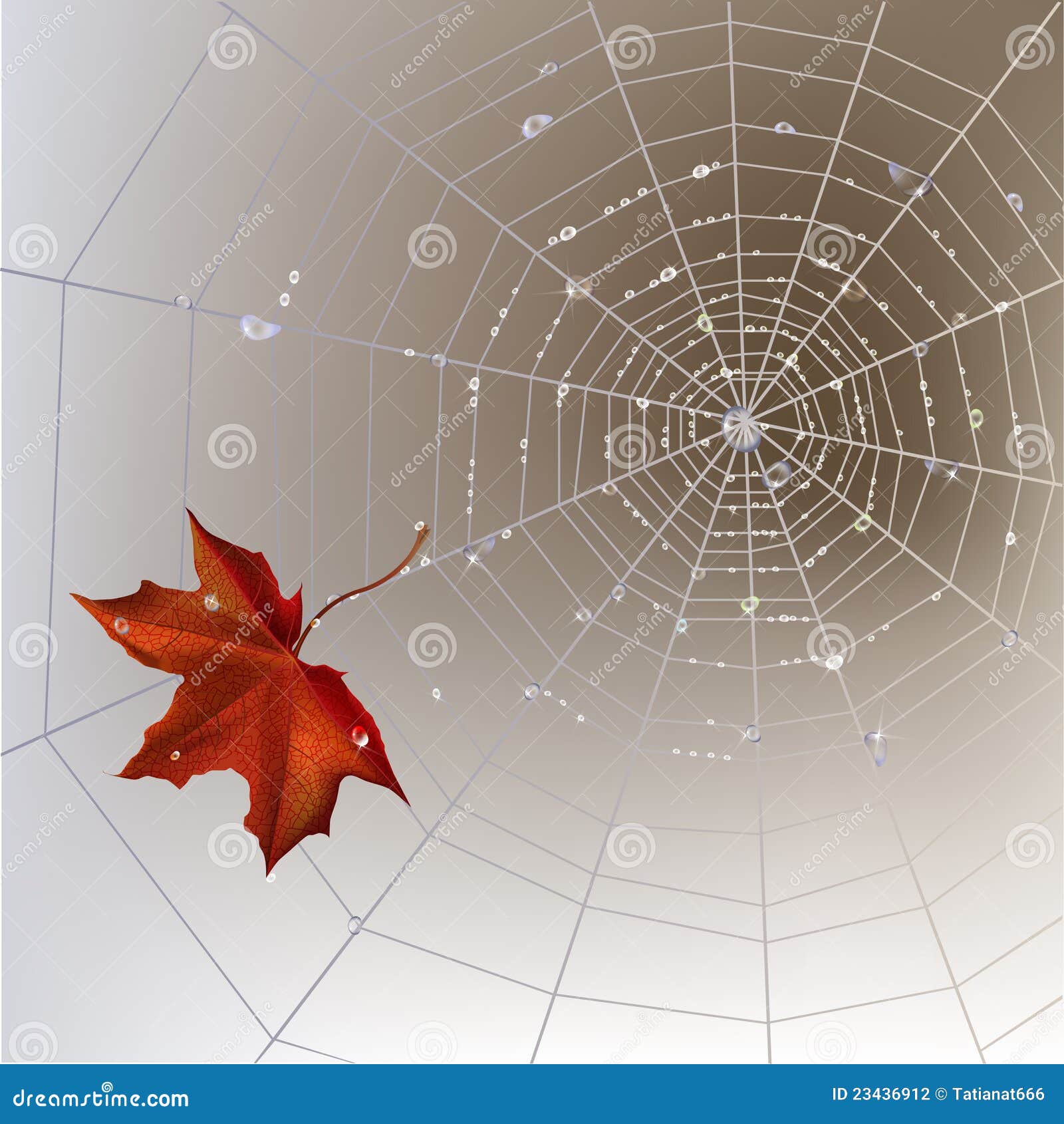 Spider Web Autumn Background Stock Vector - Illustration of refine ...