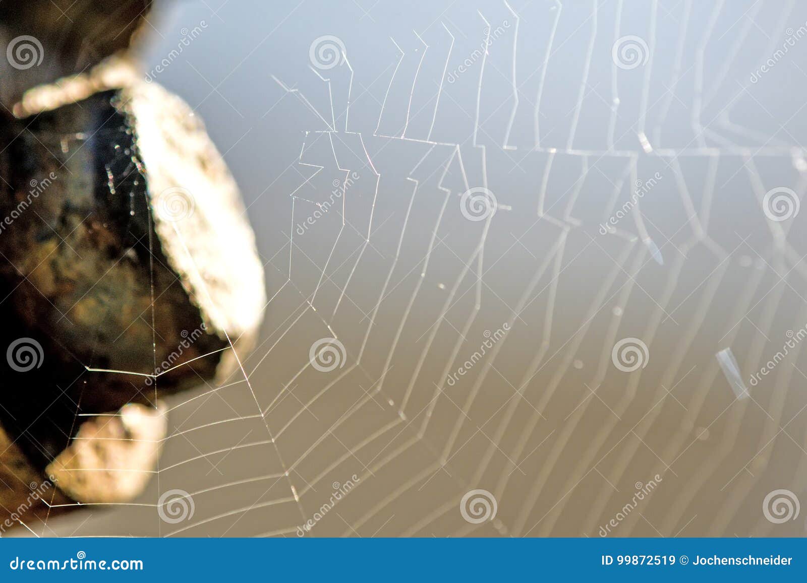 Spider webs in back-light stock image. Image of trap - 99872519