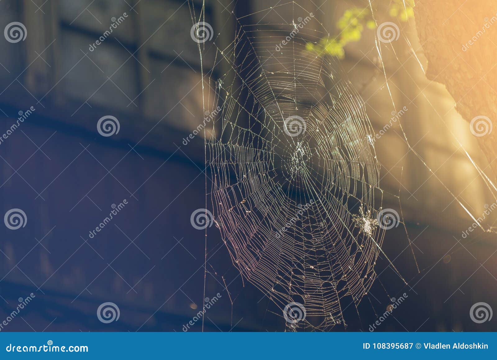Spider Web on Background of Old House Stock Image - Image of deserted ...