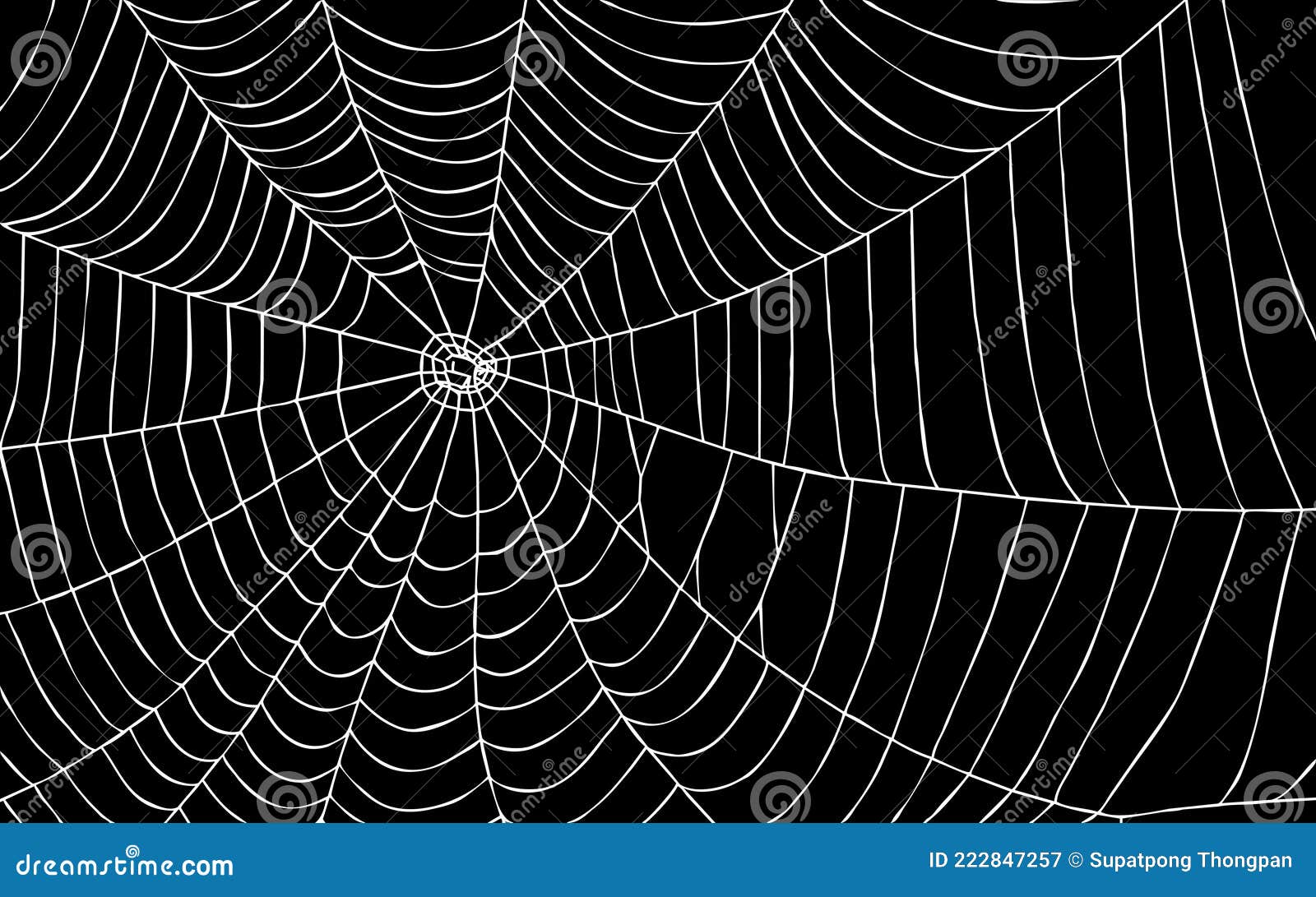 Spider Web on Black Background with Paths Stock Illustration ...