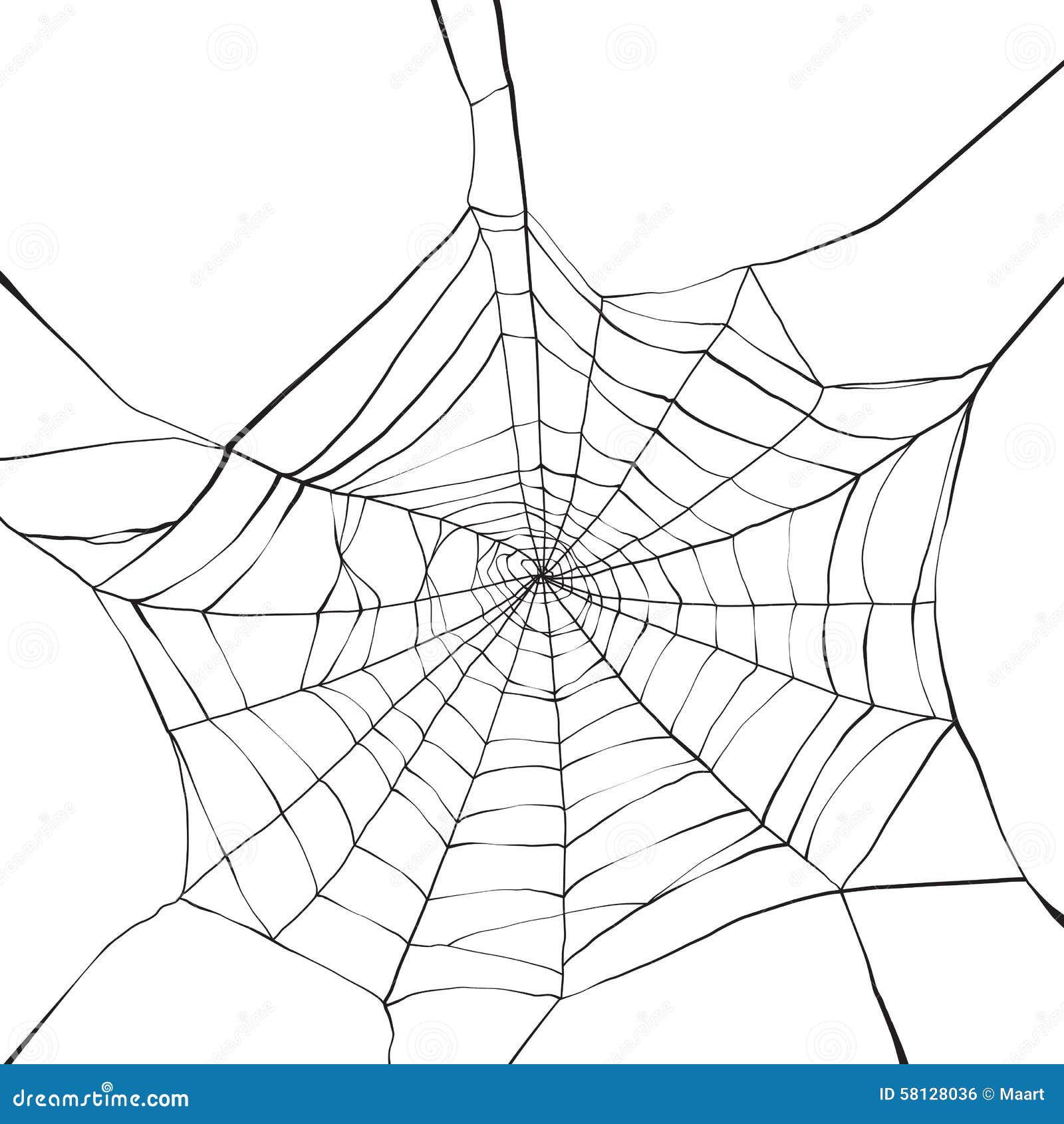Spider web stock vector. Illustration of netting, cobweb - 58128036
