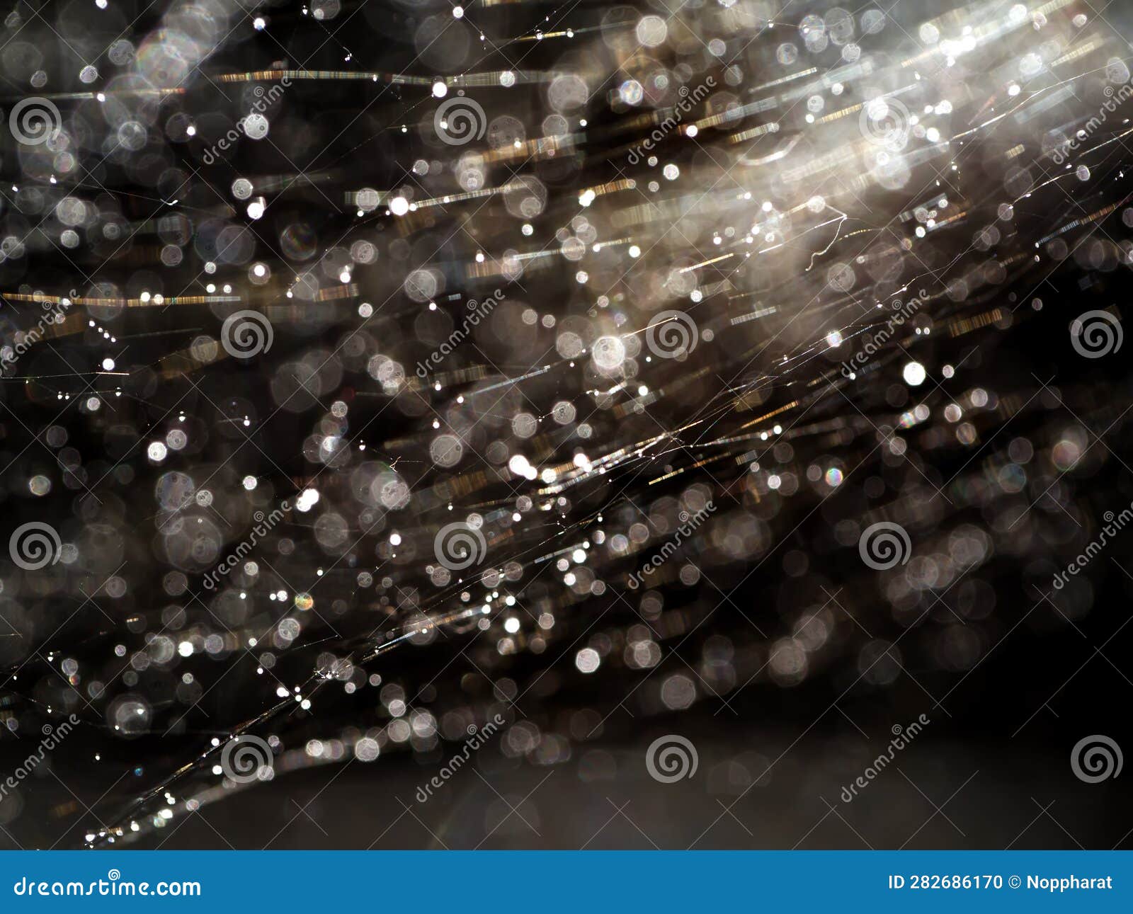 Spider Web with Bokeh and Light Stock Photo - Image of trap, texture ...