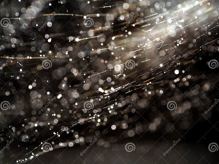 Spider Web with Bokeh and Light Stock Photo - Image of trap, texture ...