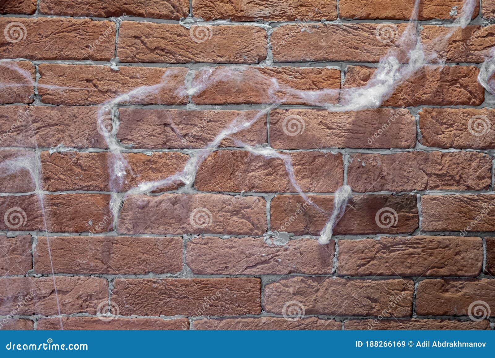 Spider web on brick wall stock image. Image of spider - 188266169