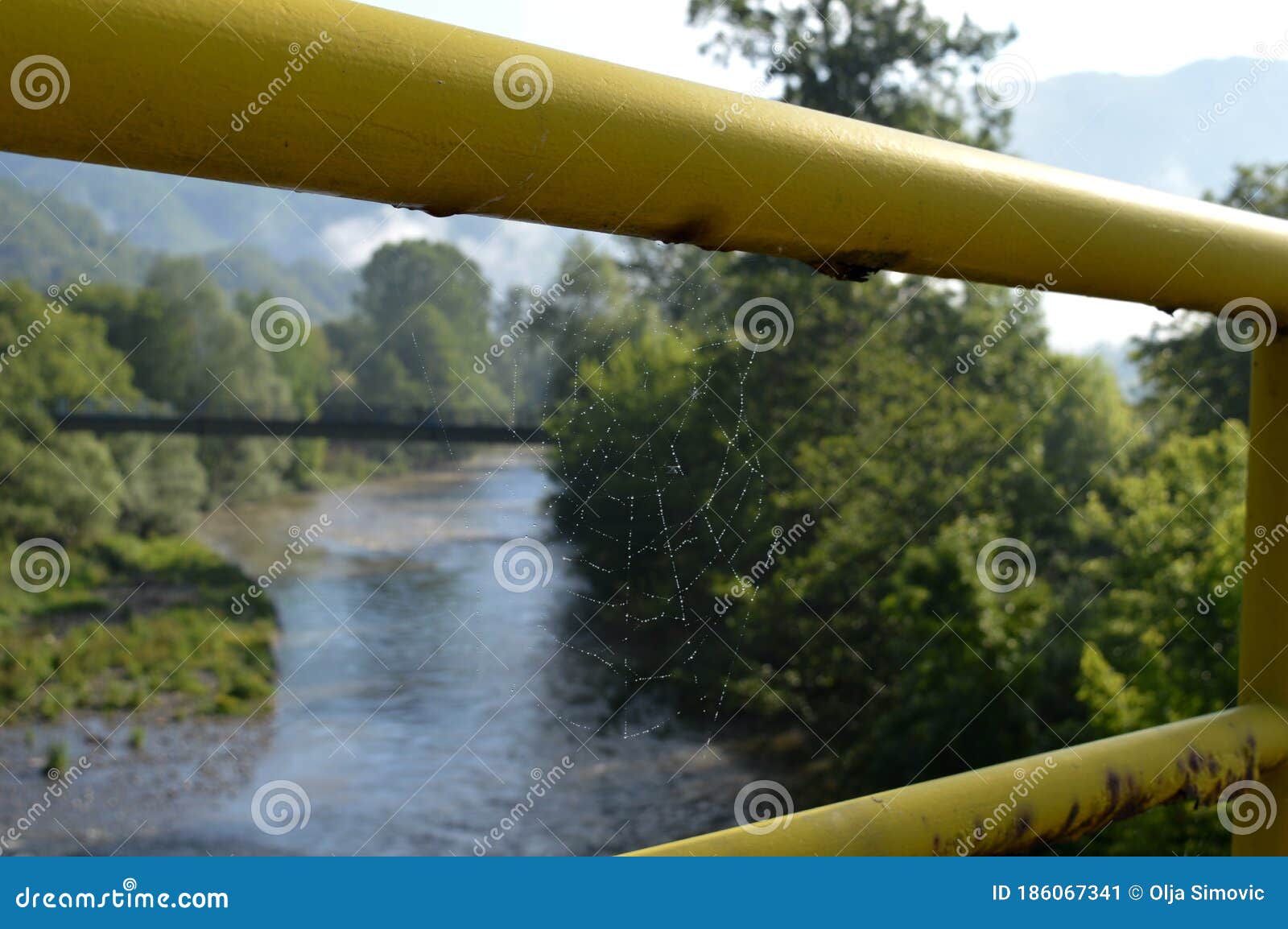 Spider Web on the Bridge Railing Stock Image - Image of forest, morning ...