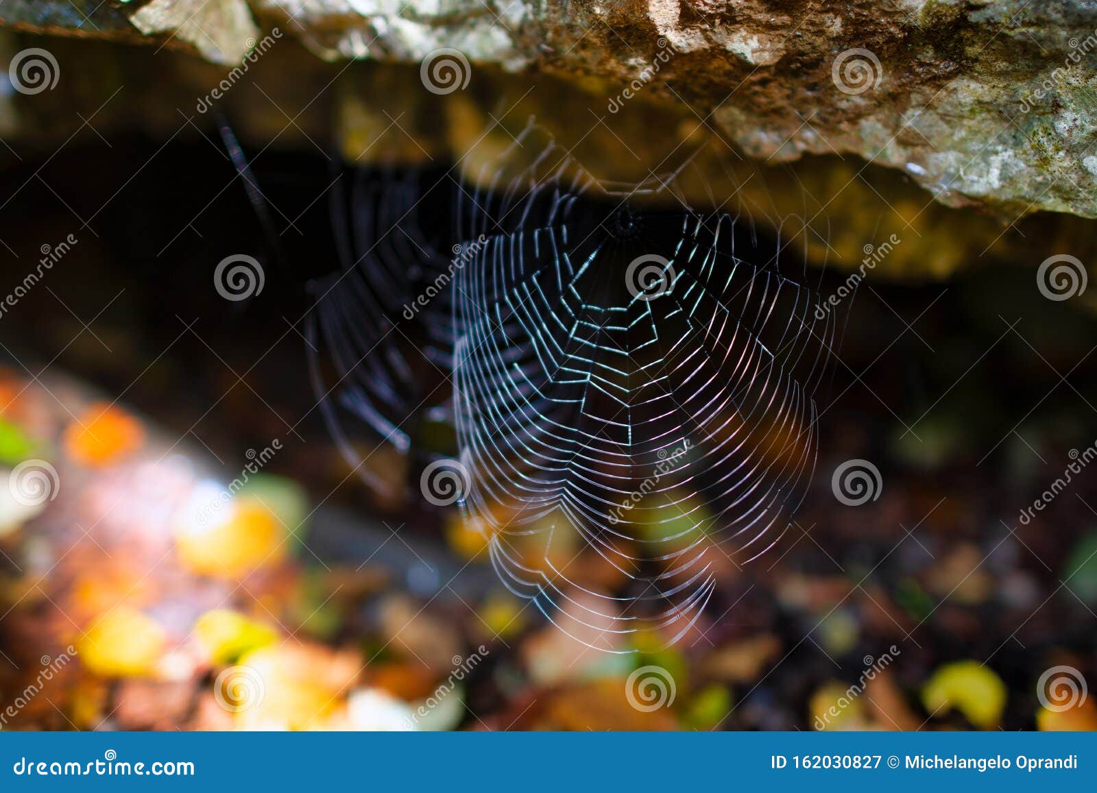 Spider Cave Royalty-Free Stock Photo | CartoonDealer.com #33972195
