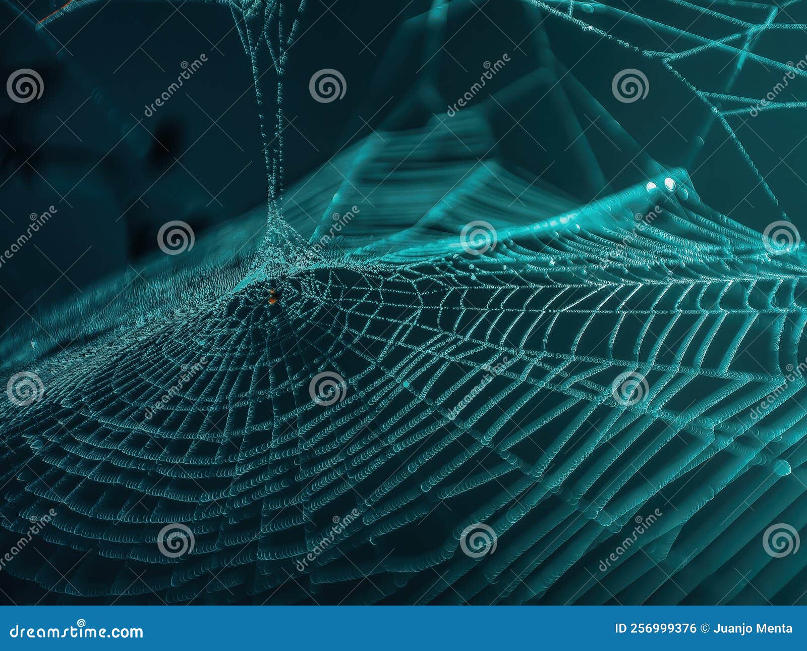 The Spider Web Close Up with Copyspace Stock Photo - Image of nature ...