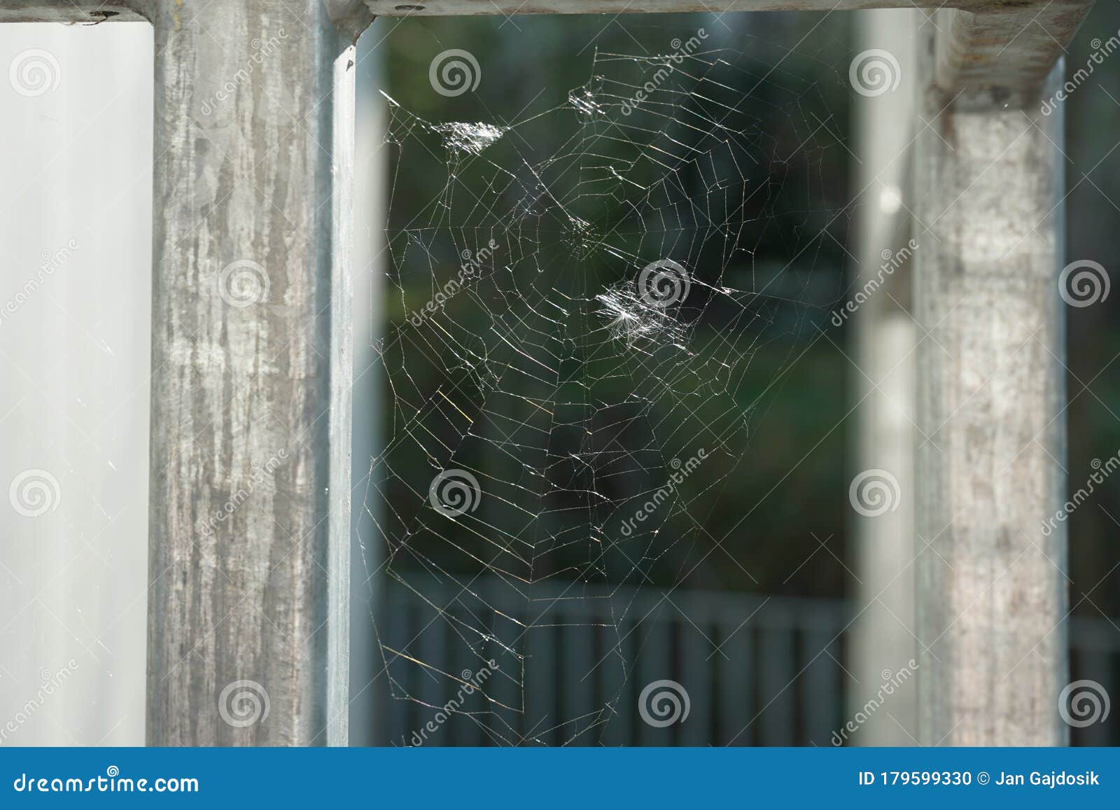 Spider Web Or Cobweb Of An Irregular Shape And Of An Irregular ...