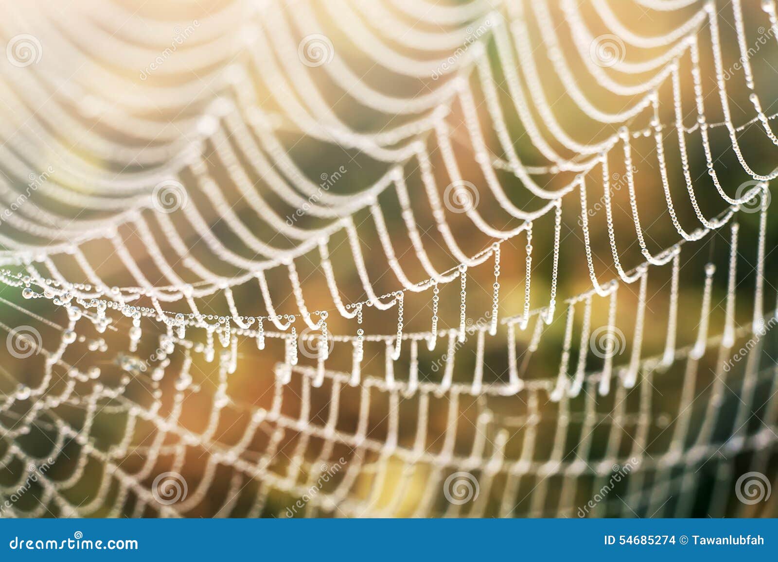 Spider Web with Colorful Background Stock Photo - Image of pattern ...