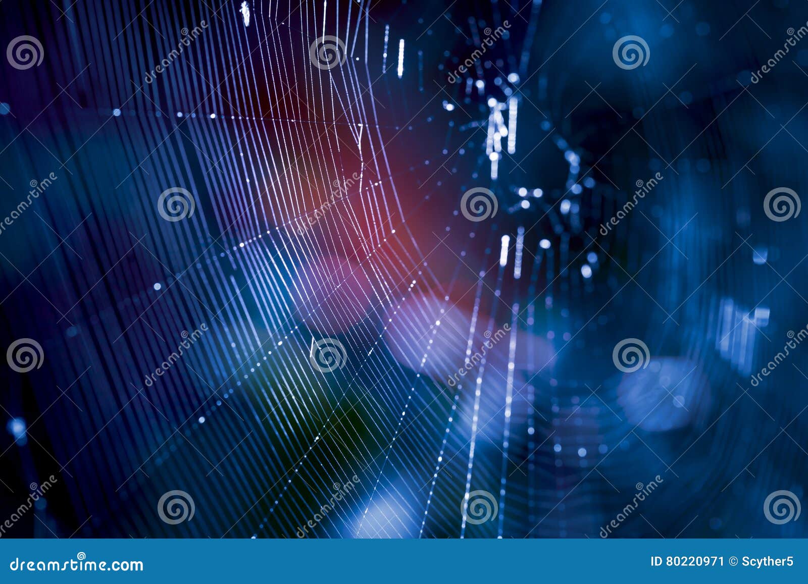 Spider web concepts. stock image. Image of abstract, horizontal - 80220971