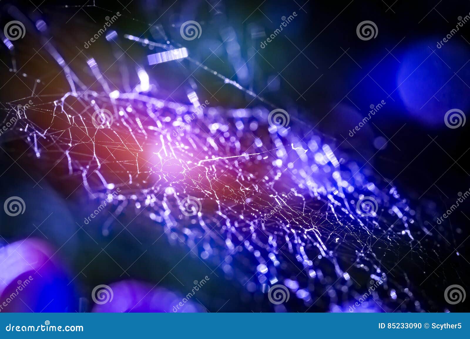 Spider web concepts. stock photo. Image of shiny, design - 85233090