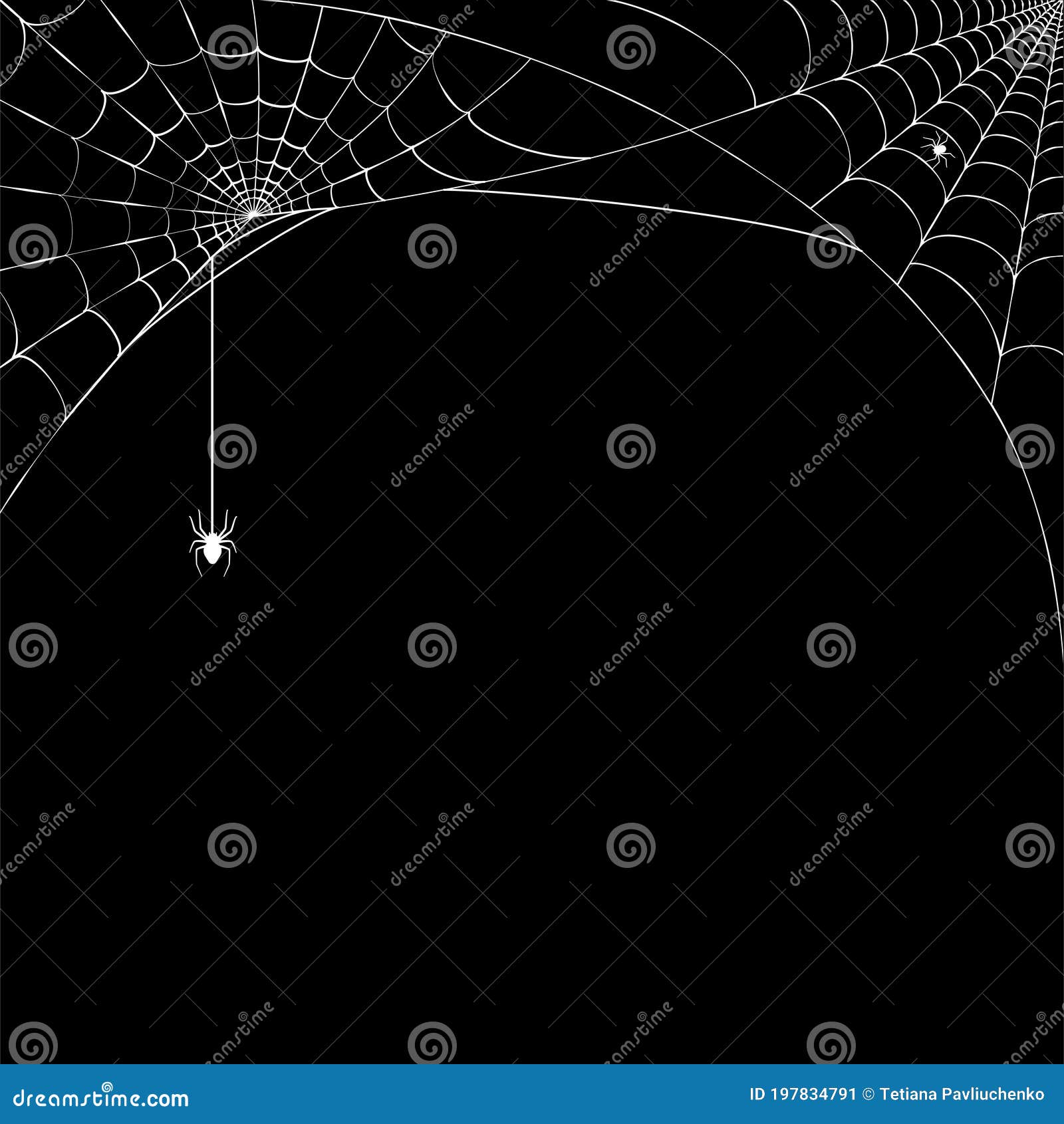 Spider web concept stock vector. Illustration of happy - 197834791