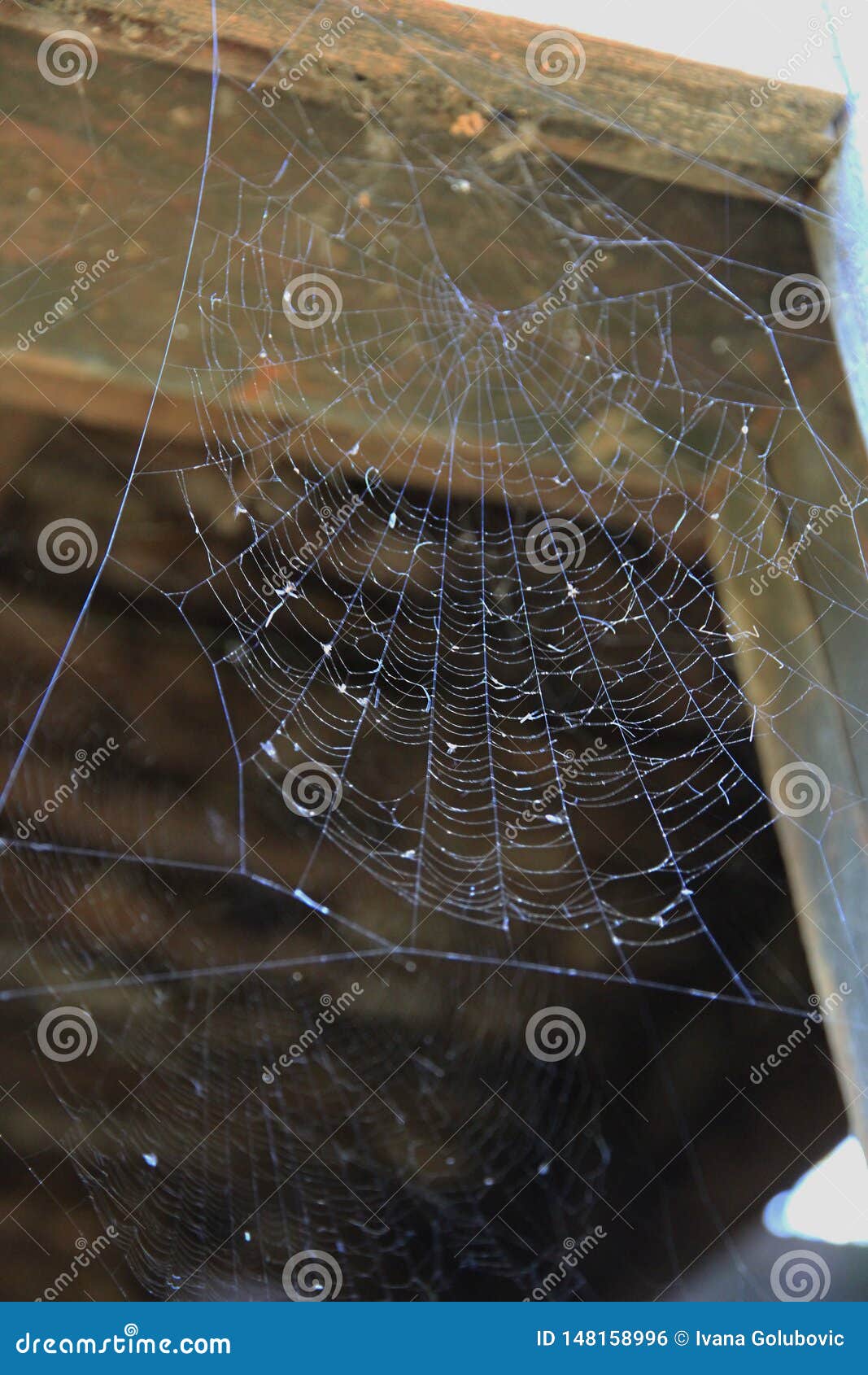 Spider Net on an Old Broken Window Stock Photo - Image of window ...
