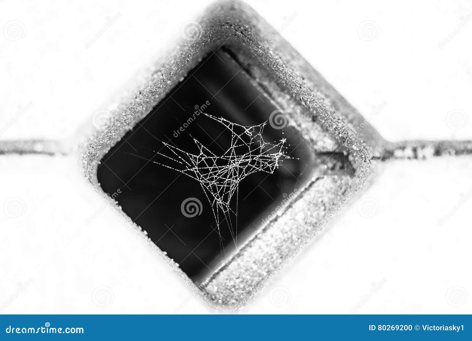 Spider Web Covered with Dew Inside a Square Concrete Grid Stock Photo ...
