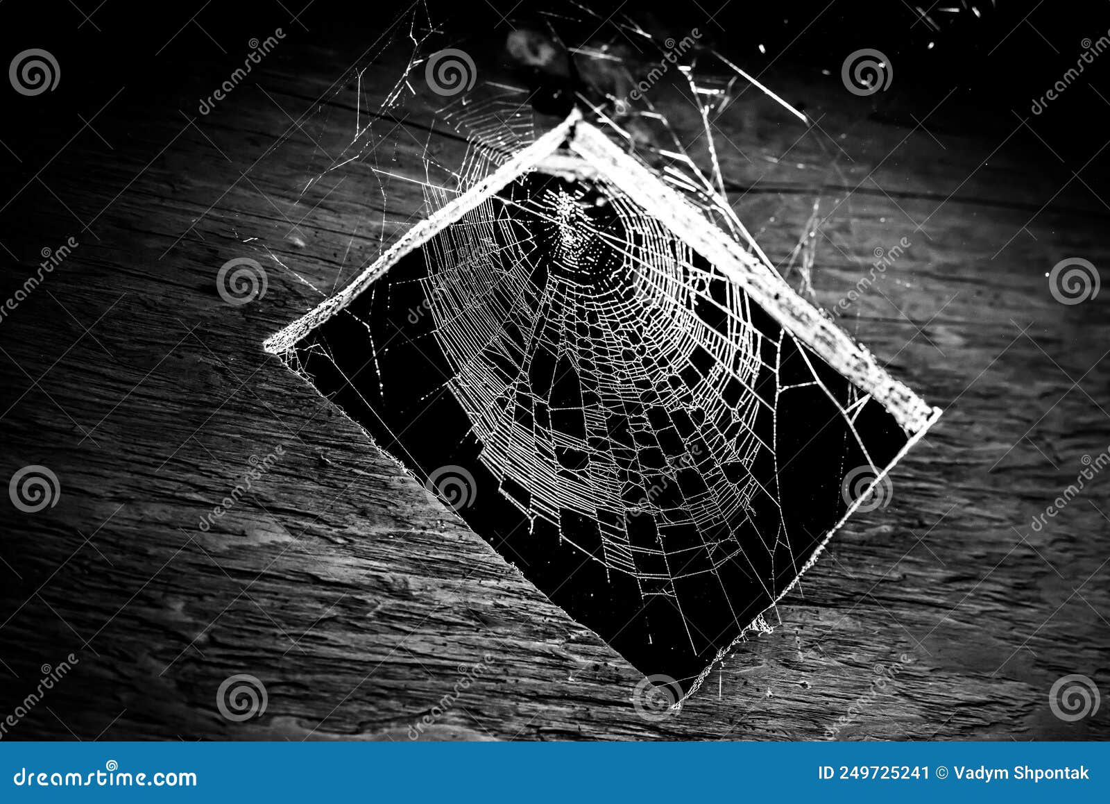 Spider Web on a Dark Background Stock Image - Image of abstract, insect ...