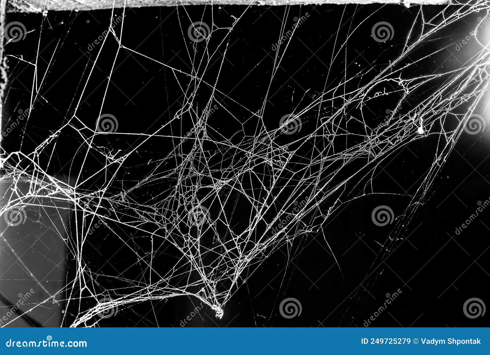 Spider Web on a Dark Background Stock Image - Image of decorative ...