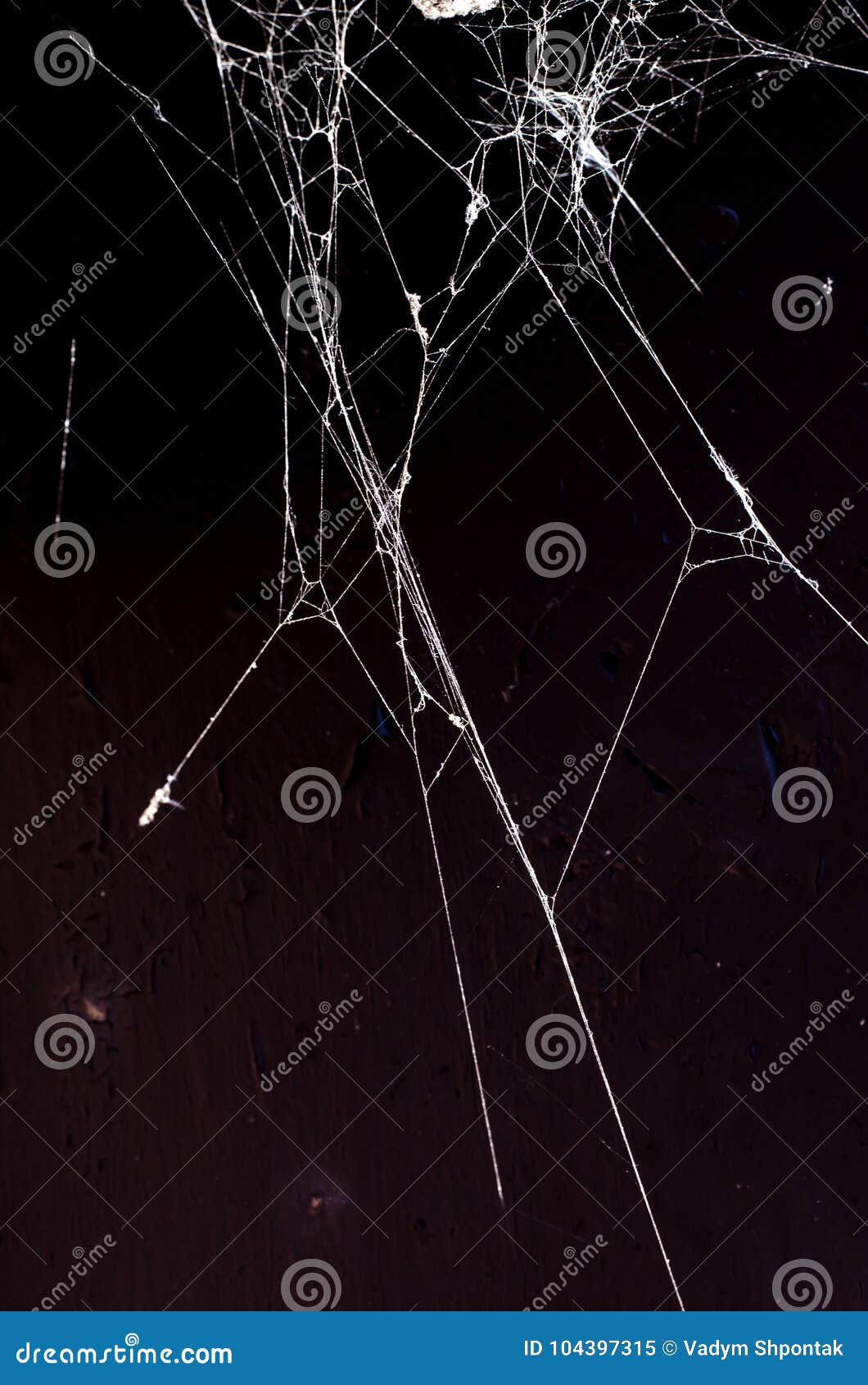 Spider Web Background - Cobweb Texture Royalty-Free Stock Photography ...