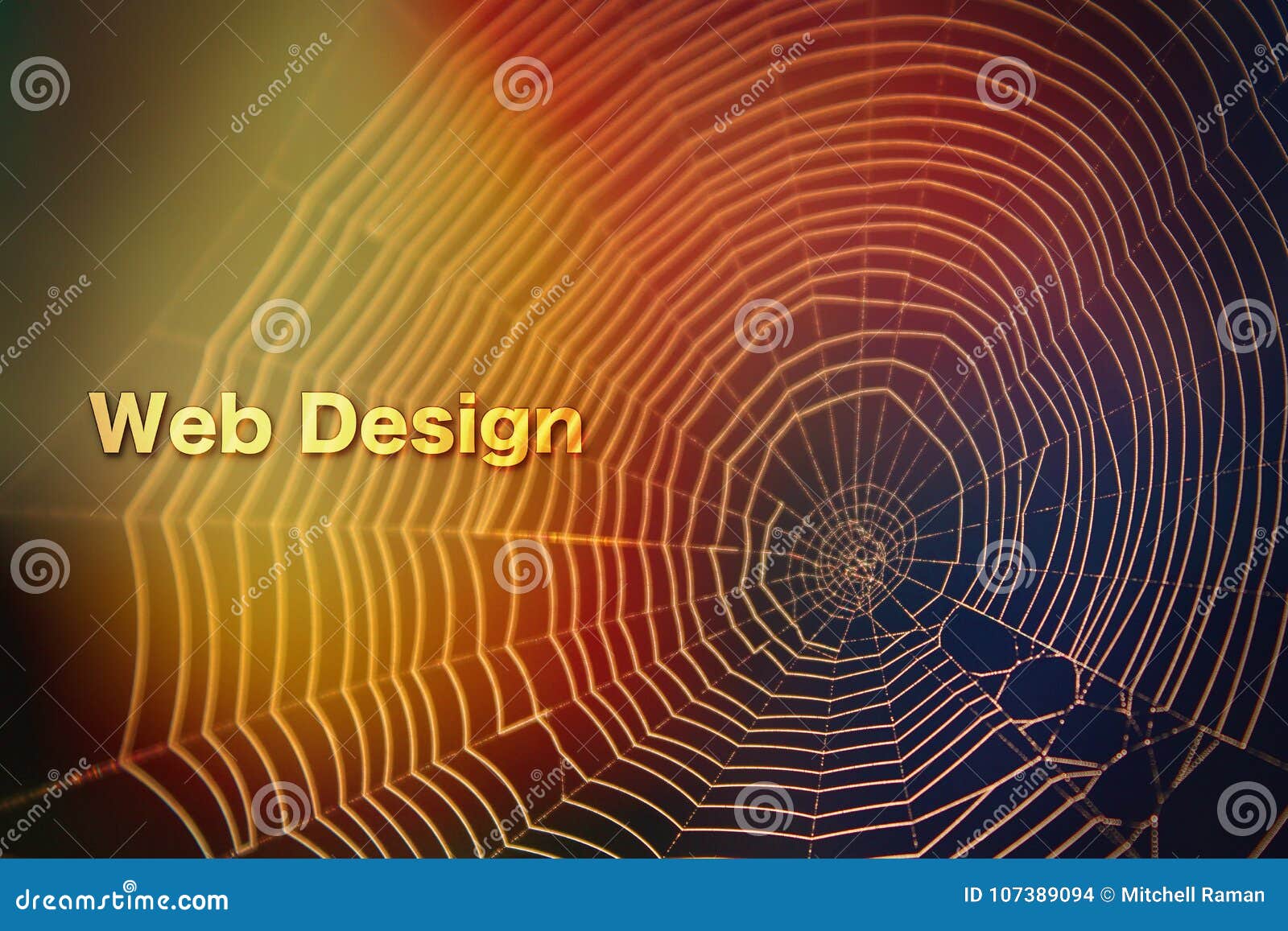 Spider Web Design Colorful Light Blurred Background Texture Stock Photo ...