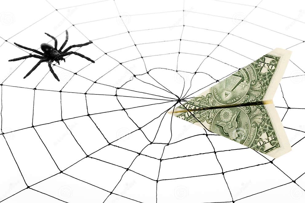 Spider Web and dollar stock photo. Image of white, spider - 10977478