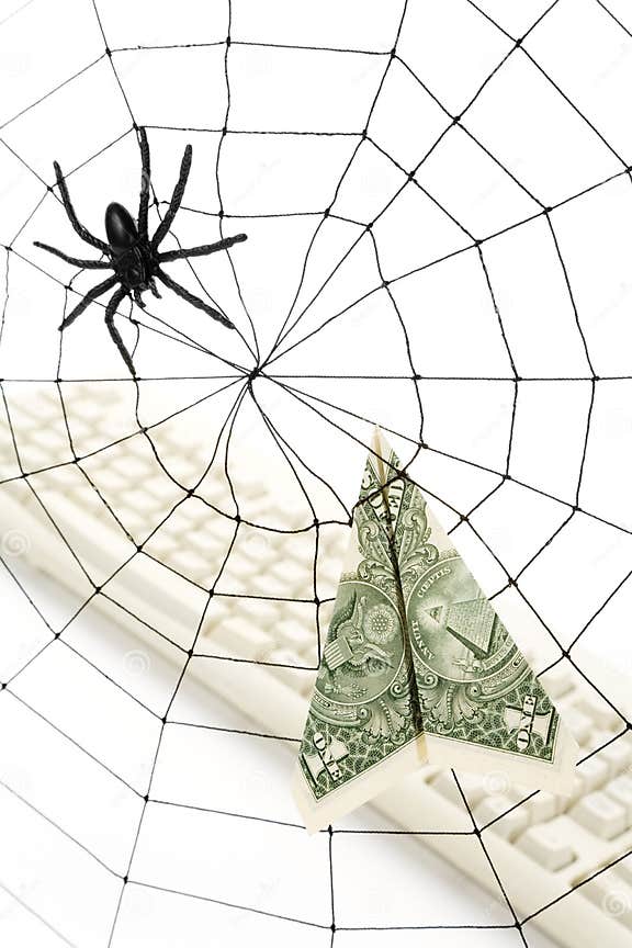 Spider Web and dollar stock image. Image of internet - 11490893