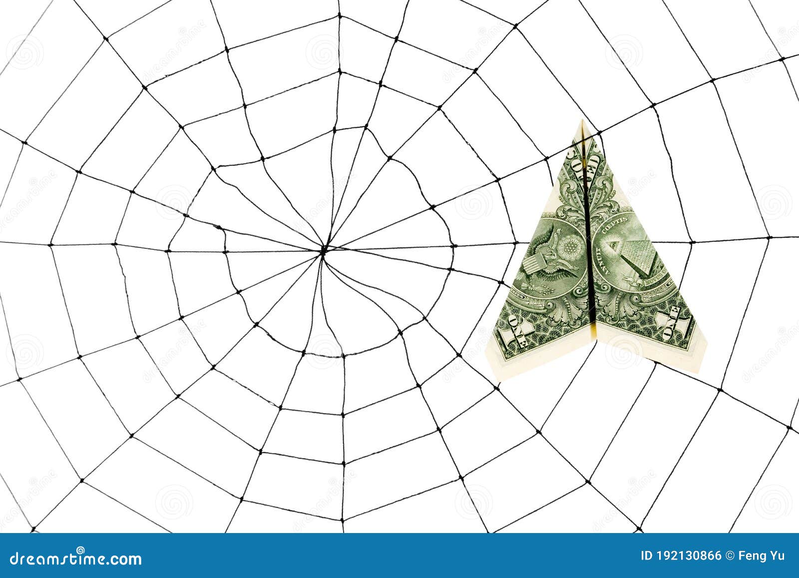 Spider Web and dollar stock photo. Image of sticky, danger - 192130866
