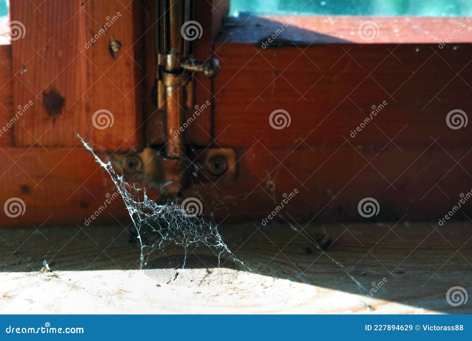 Spider web on a window stock image. Image of untidy - 227894629