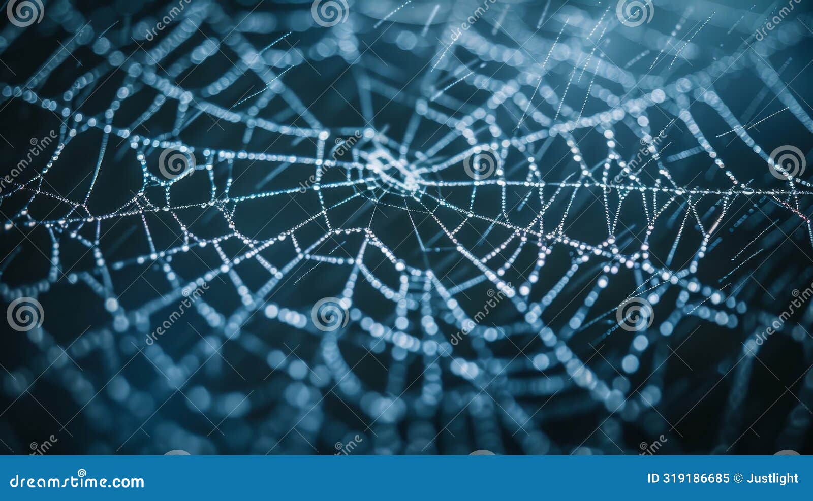 A Spider Web with Each Thread Representing a Different Autonomous ...