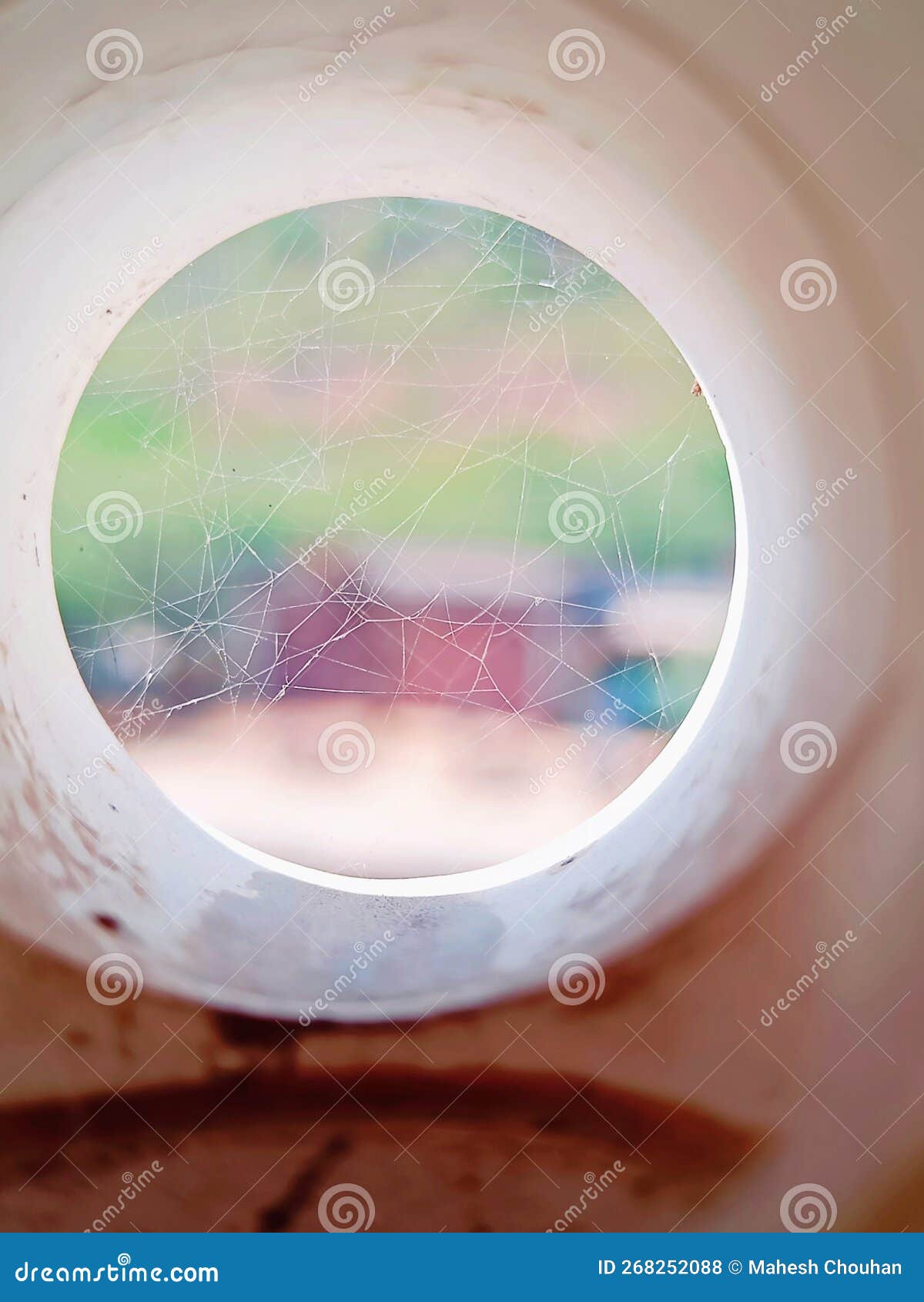 Spider web in empty pipe stock photo. Image of empty - 268252088