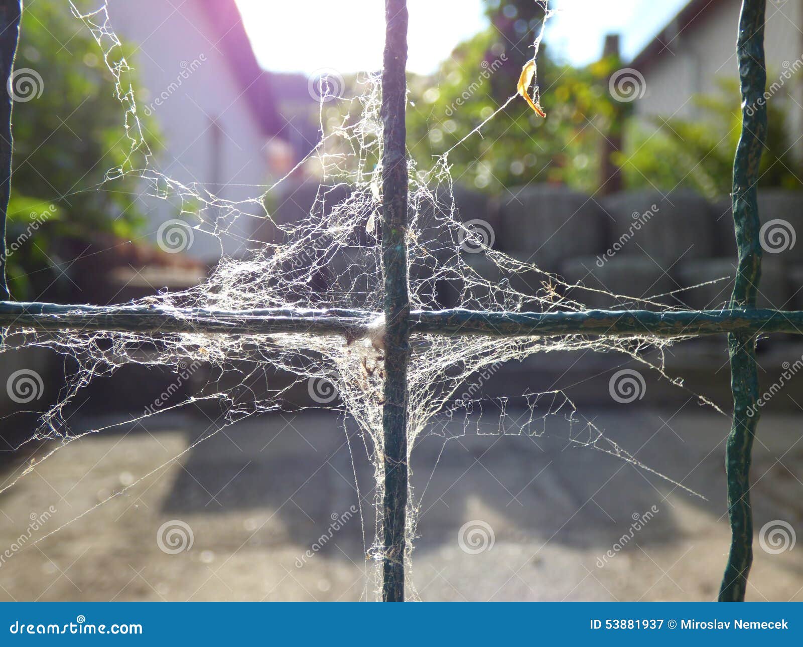 Spider web on fence stock image. Image of spiders, detail - 53881937
