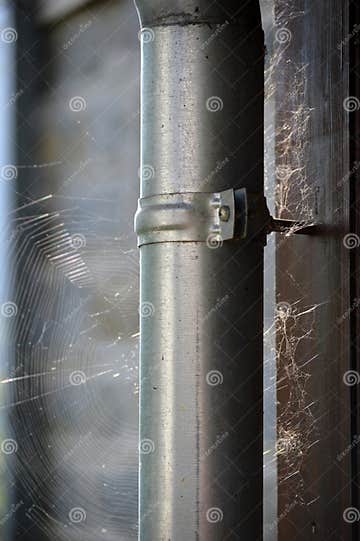 Spider Web between the Gutter and the Wall Stock Image - Image of ...