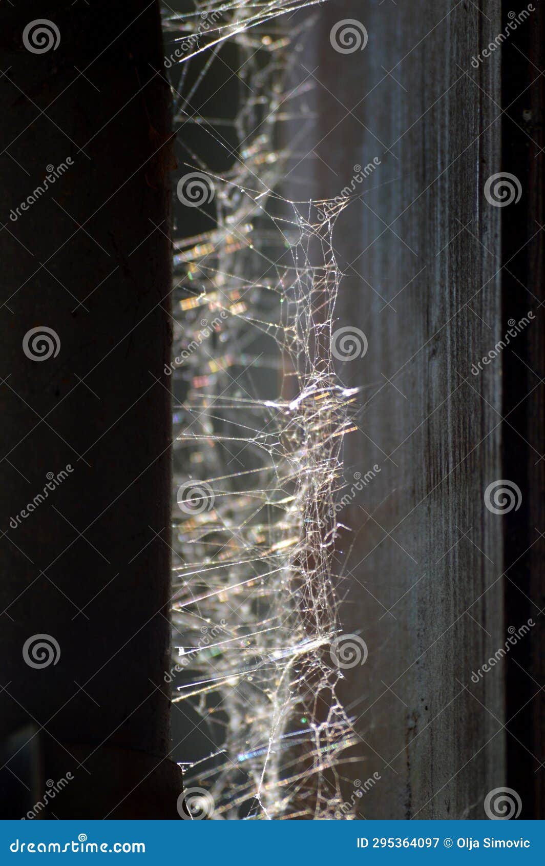Spider Web between the Gutter and the Wall Stock Image - Image of line ...