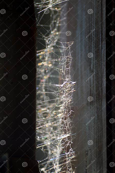 Spider Web between the Gutter and the Wall Stock Image - Image of line ...