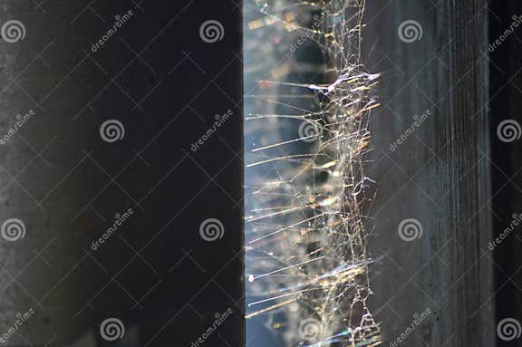 Spider Web between the Gutter and the Wall Stock Image - Image of ...