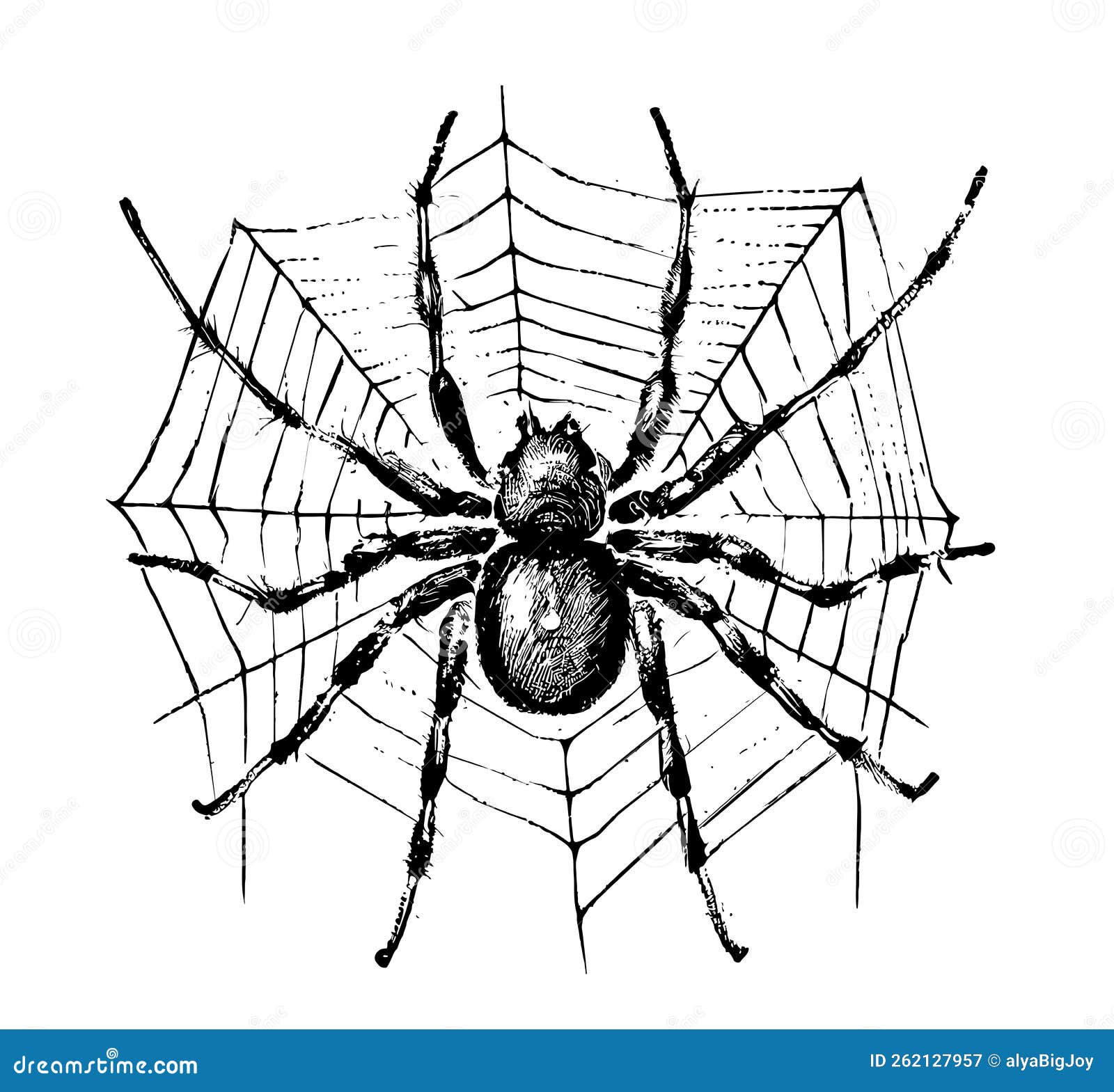 Spider on Web Hand Drawn Sketch Insects Stock Vector - Illustration of ...