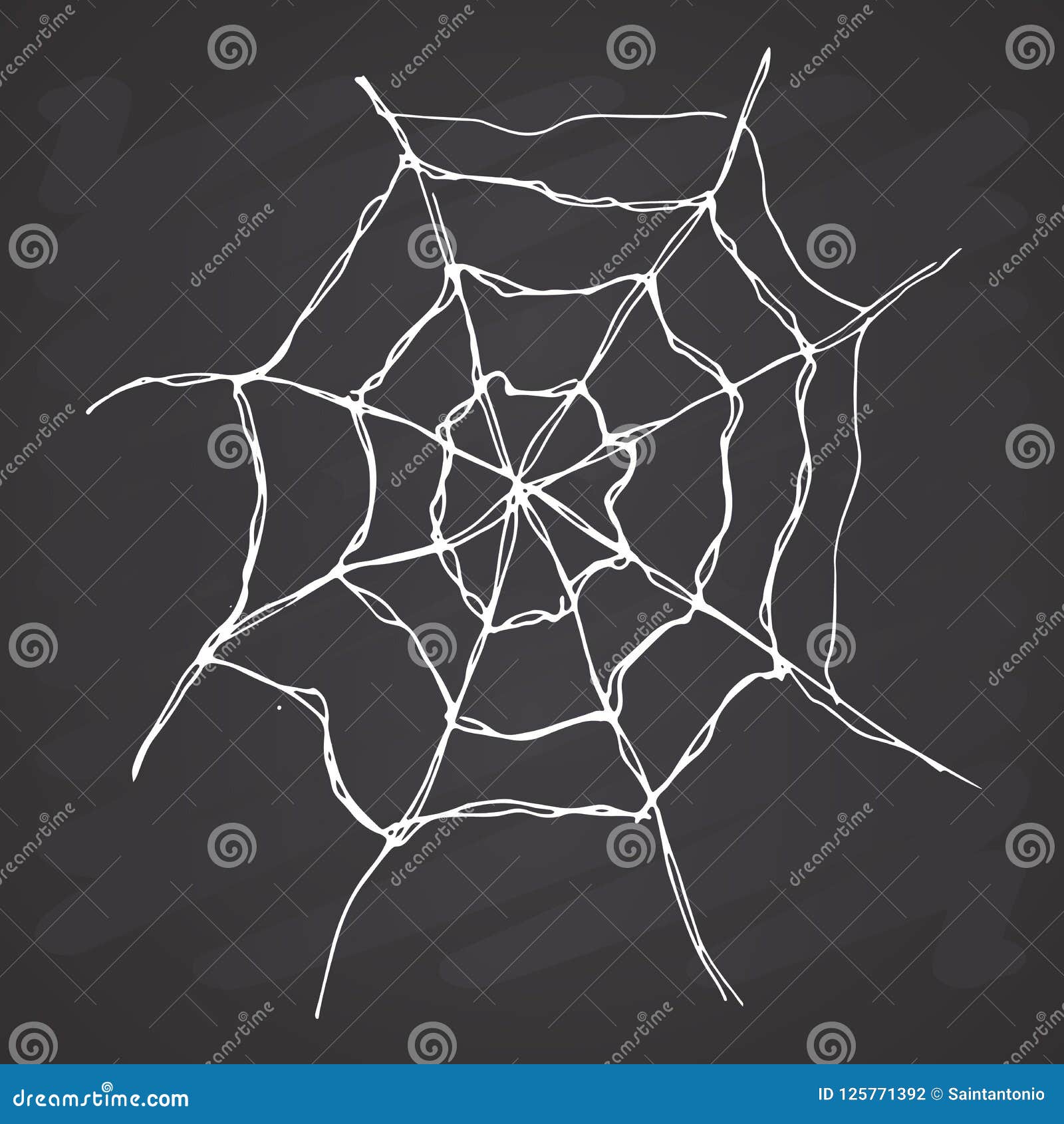 Spider Web Hand Drawn Sketched Web Vector Illustration on Chalkboard ...