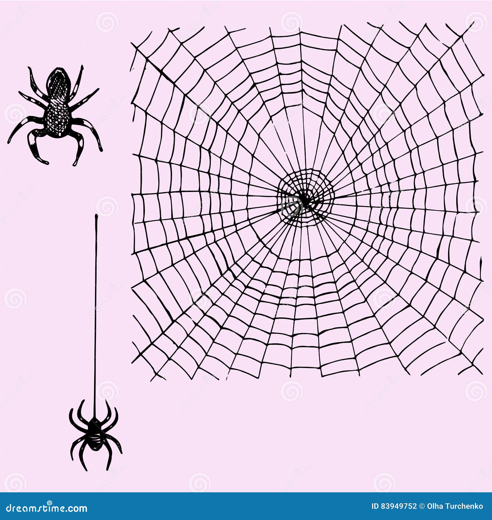 Spider Web and Hanging Spider Stock Vector - Illustration of drawn ...