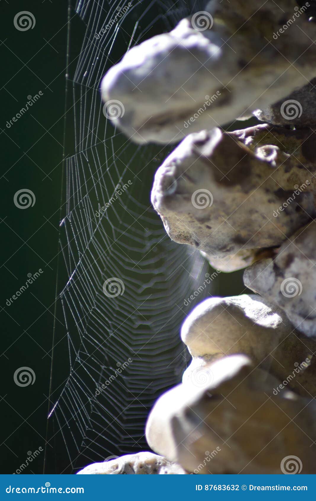 Spider Web and Hanging Stones Stock Photo - Image of side, holes: 87683632